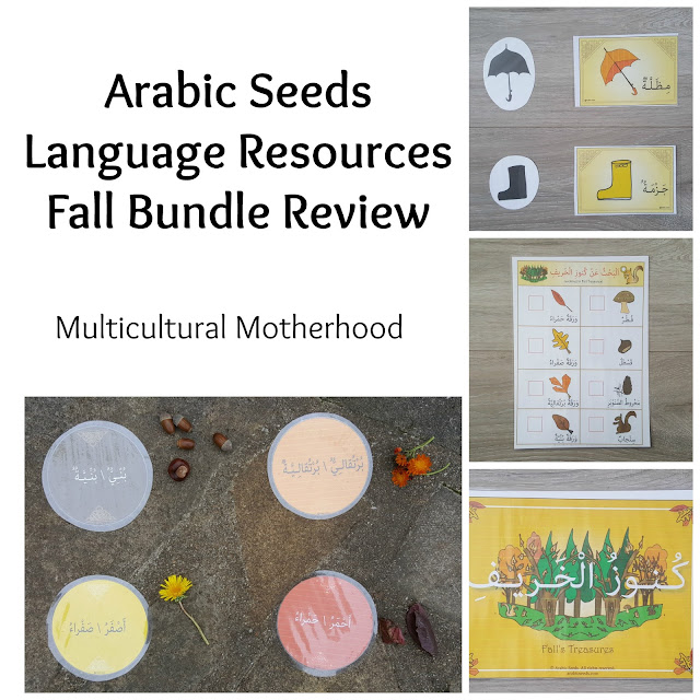 Arabic Seeds Language Resources Fall Bundle Review | Multicultural ...
