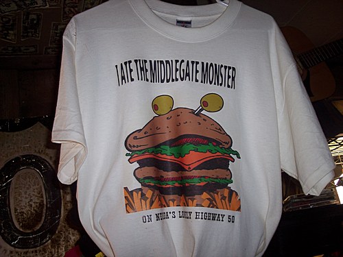 A Dream Adoption...Bringing home the TWINS!: My deepest appreciation ...