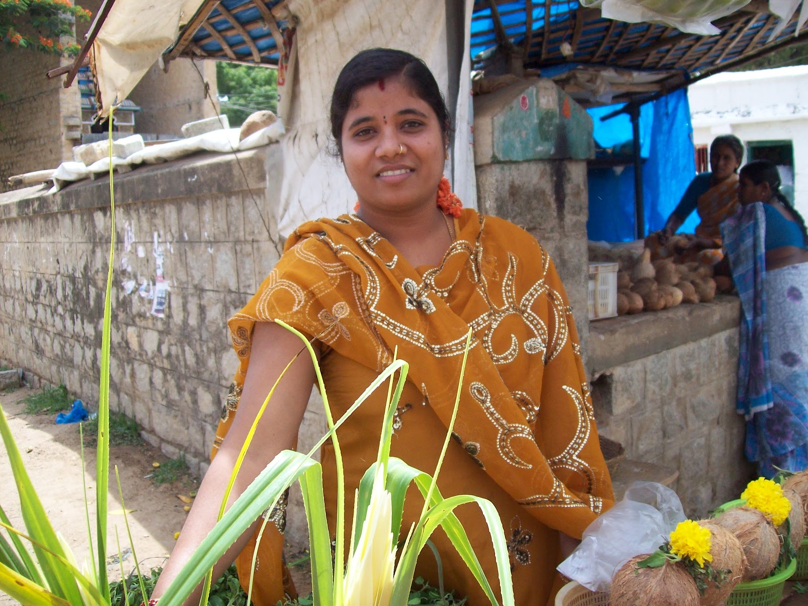gardentropics: Our World - Golden Pandanus