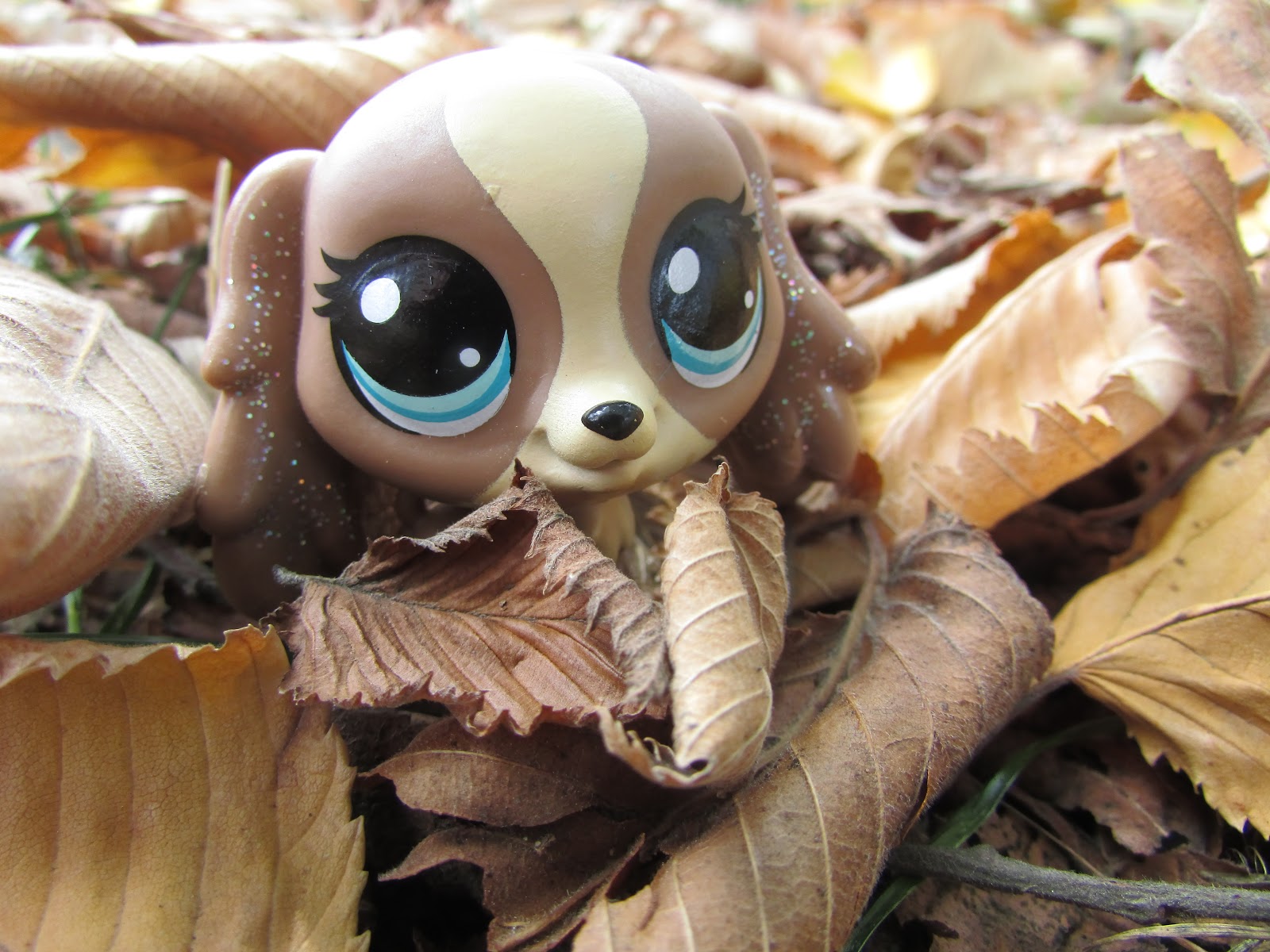 Mój świat LPS: 134. LPS: Jesienna sesja