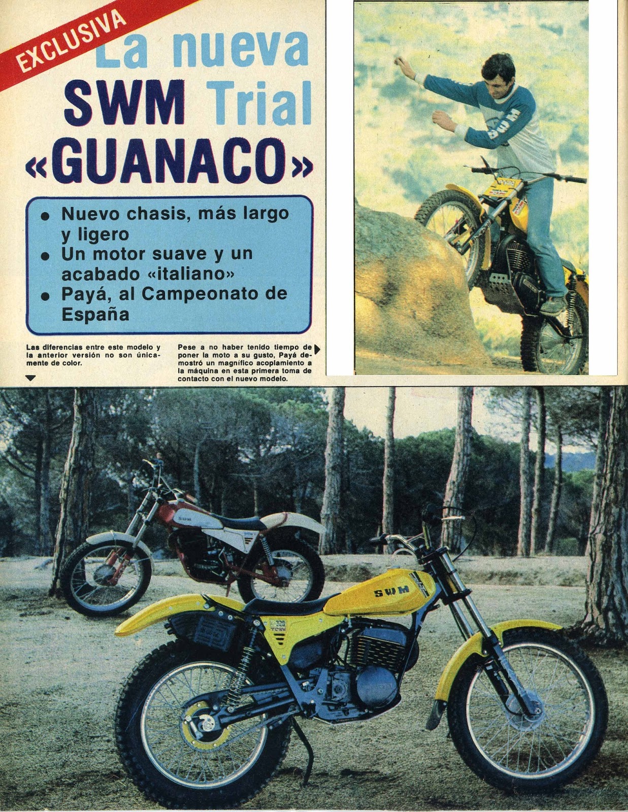 Montesa Cota: SWM Guanaco 1980
