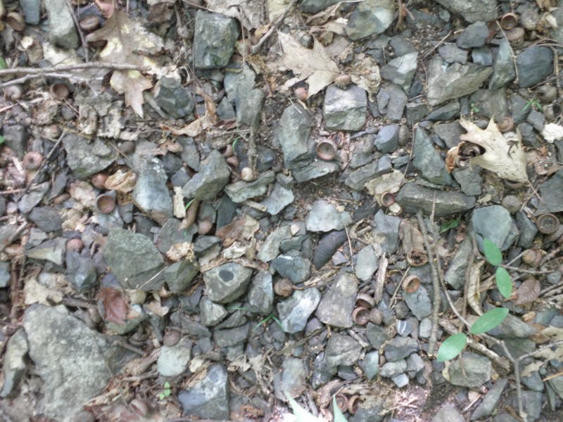 Upstate Earth: The Ancient Flint Mines of Coxsackie