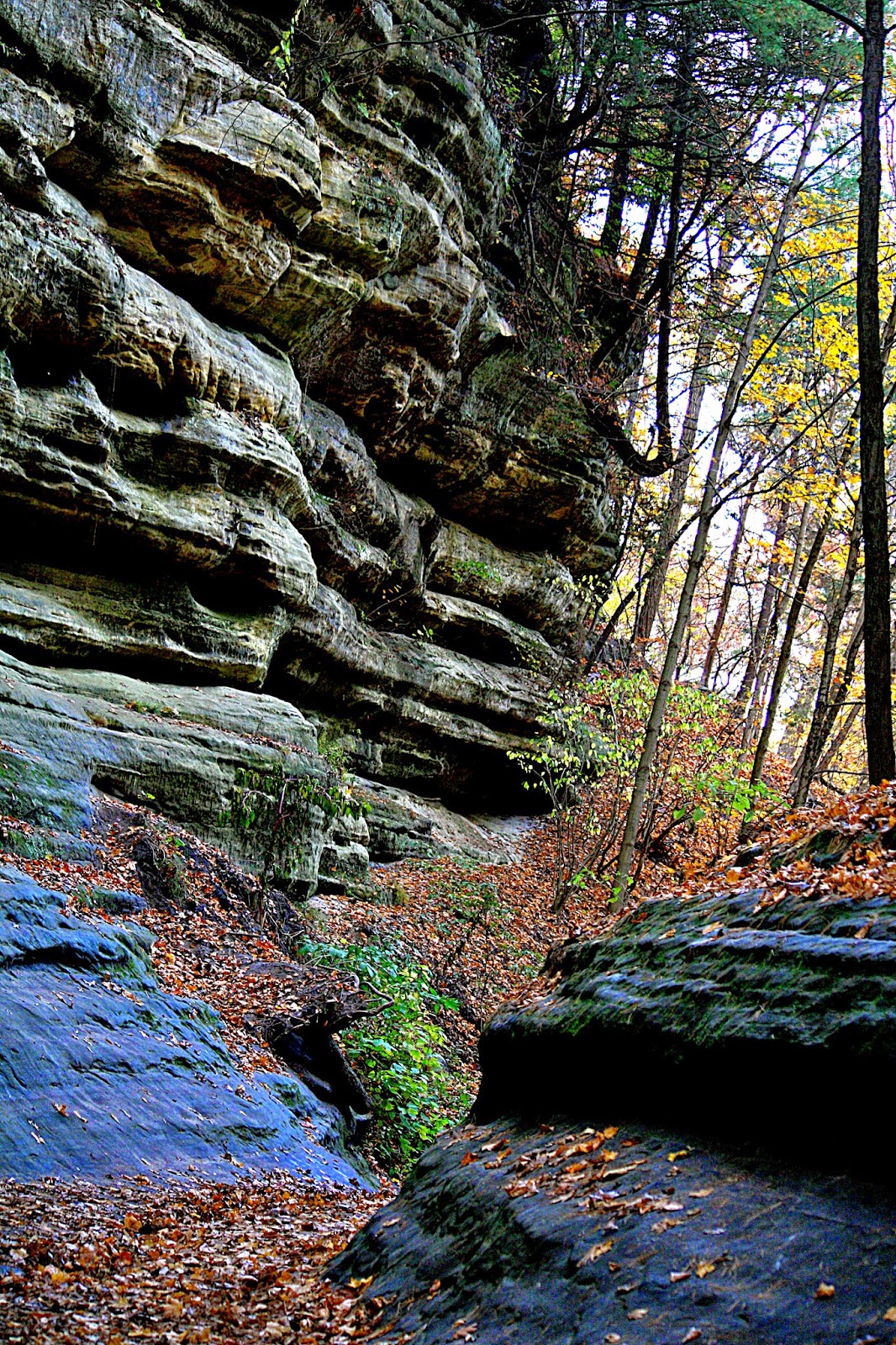 MKDesigns: Starved Rock State Park: An Illinois TREASURE!