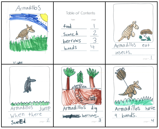 A Place Called Kindergarten: NONFICTION WRITING IN KINDERGARTEN