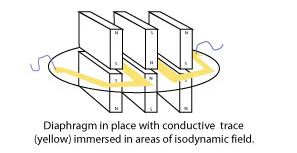 BuildIts in Progress: Planar Magnetic Headphones, Part 1