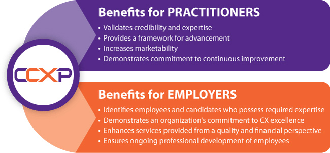 How Well Do You Know the Six Customer Experience Performance Domains ...