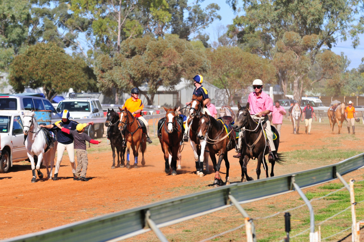 A Photo A Day For 365: 45 -Australian Mounted Games Association Event