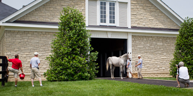 Turf & Dirt - On Horse Racing: Macho Uno... Portrait Session