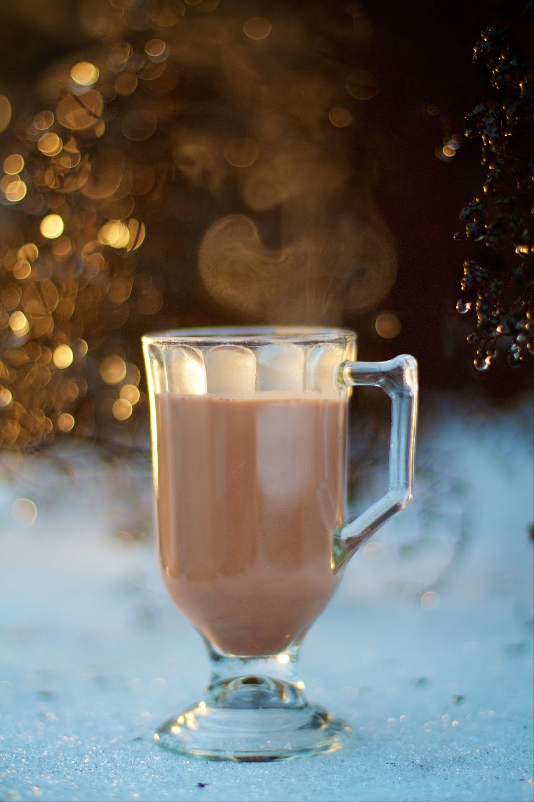 Chai-Spiced Hot Cocoa » Local Food Rocks