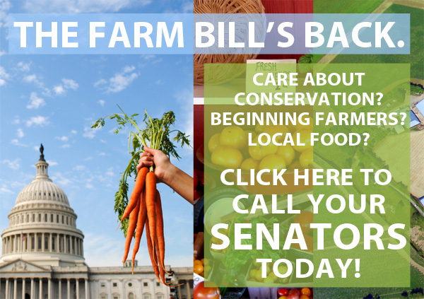 PC(USA) Office of Public Witness: Senate Farm Bill Vote Imminent!