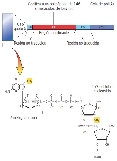 Club OIAB: Control de la traducción