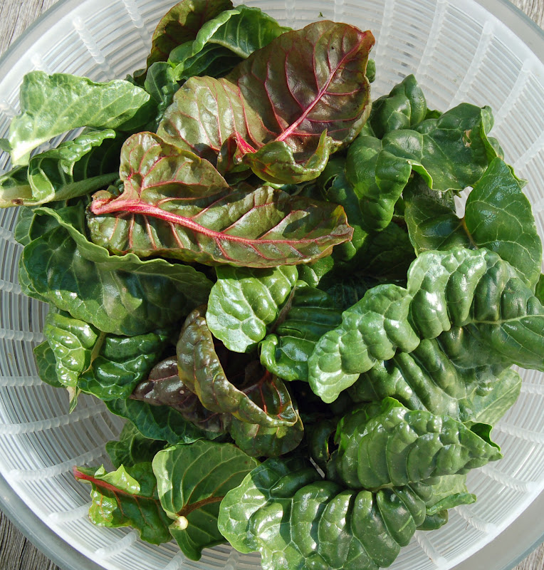 garden fool: FAST-FOWARD SPRING