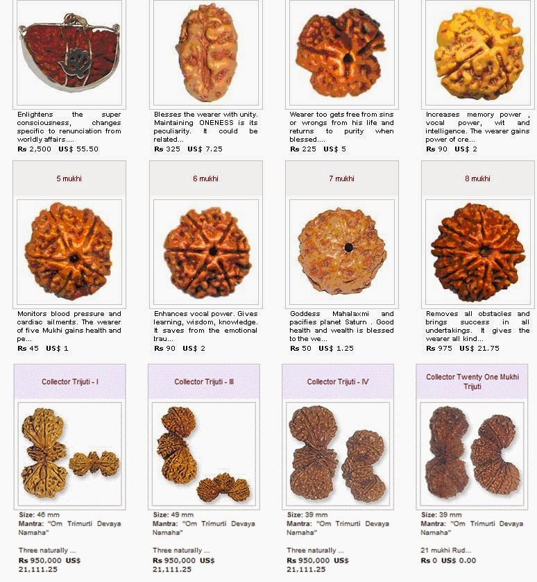 Jenitri, Air Mata Dewa Syiwa Yang Jatuh Di Kebumen - GEMA PERTANIAN