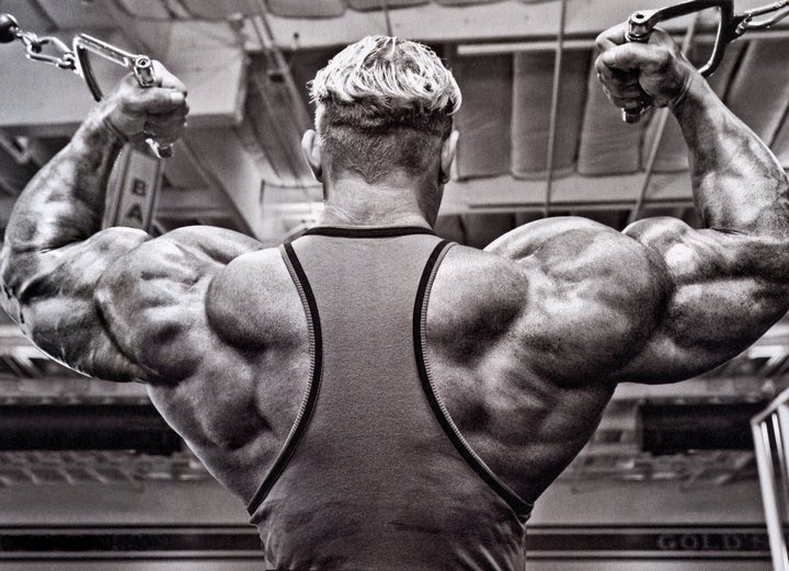 mr olympia 2012, mr olympia 2012 predictions, mr olympia 2012 winner ...