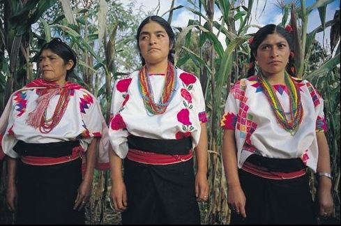 Icono ADN Spain 08: Indígenas....... De Chiapas.......