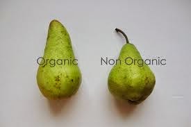Organic and Inorganic Foods