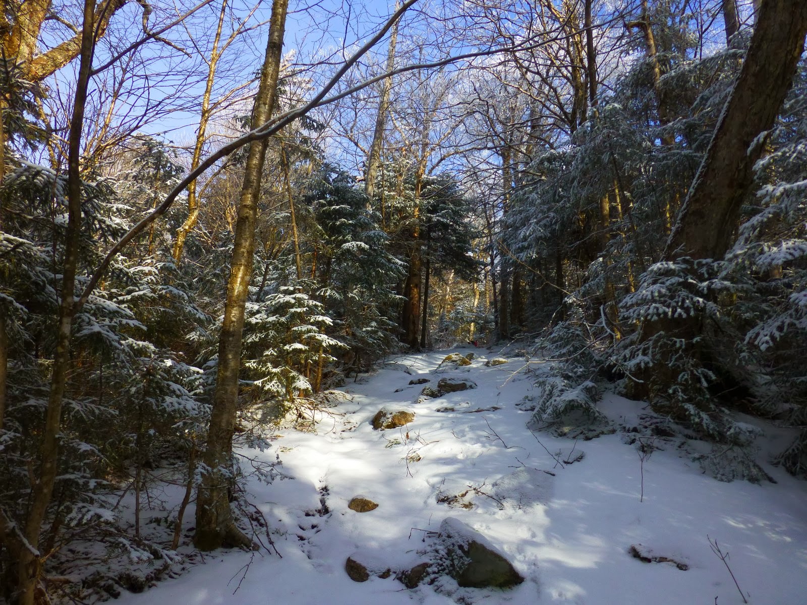 Off on Adventure: Morgan Mountain & Cooper Kiln Pond - Taylor Pond Wild ...