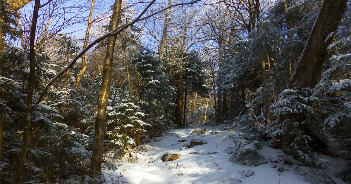 Off on Adventure: Morgan Mountain & Cooper Kiln Pond - Taylor Pond Wild ...