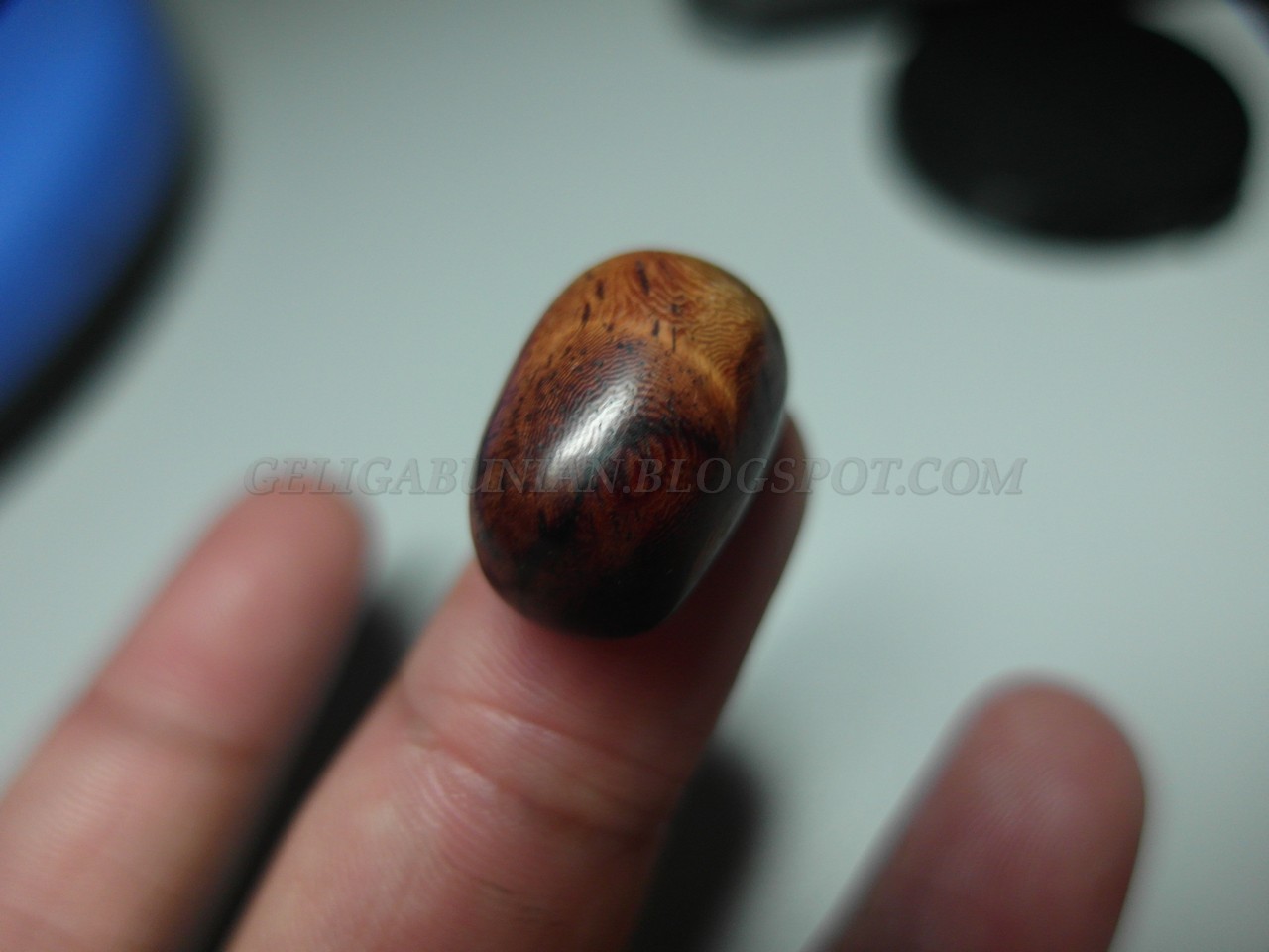 BLOG UTAMA Y.M PADUKA AYAHANDA PAY 8: KAYU MENANG