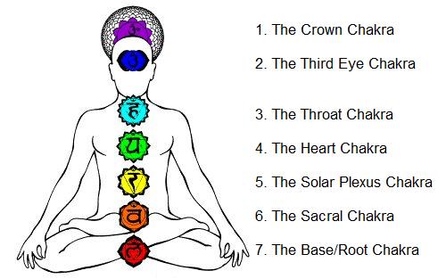 The Distinguished Chimps: The 7 Main Chakras