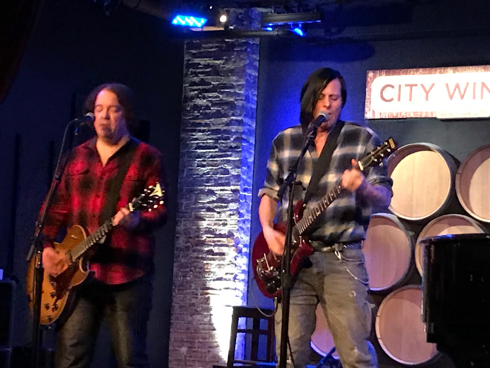 Burning Wood: The 30th Year Of The Posies