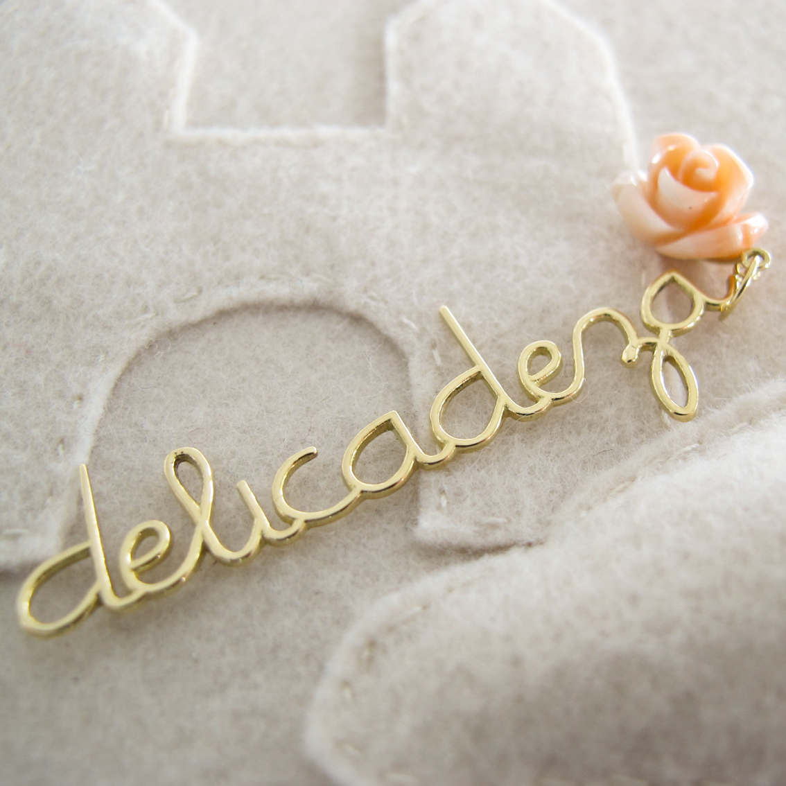 SILVIA LOGULLO: DELICADEZA