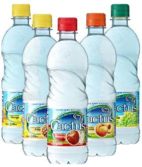 Pintura Verde,: Cactus