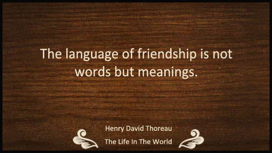 Friendship Quotes : Part 8 | The Life in The World