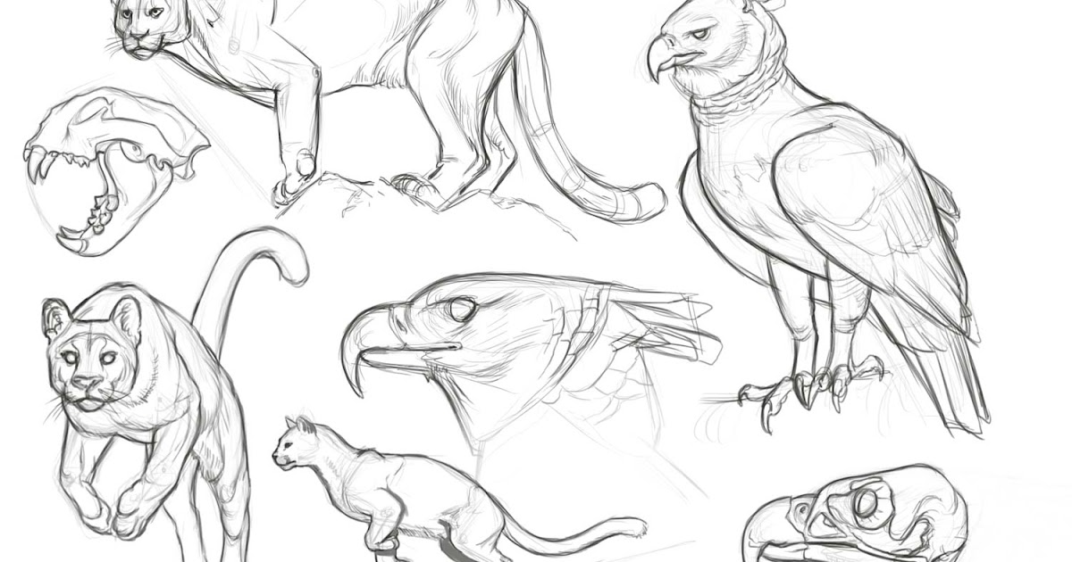 Raul Ramos Art: Creature Anatomy - Week 4