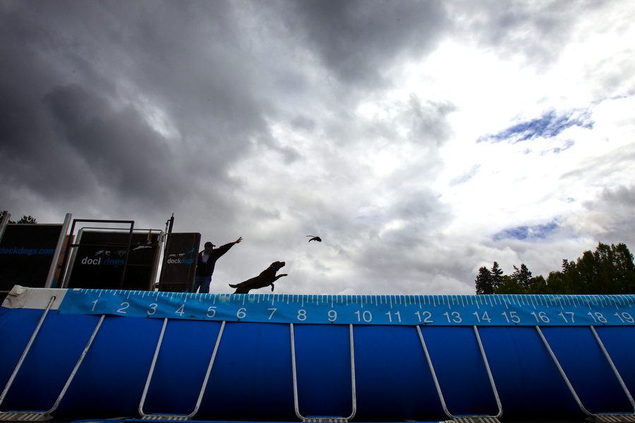 Jordan Stead: DockDogs | Canine longjumping championship