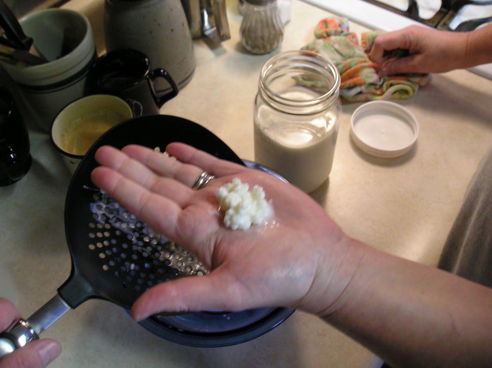 Thoughts from Frank and Fern: Trying Kefir