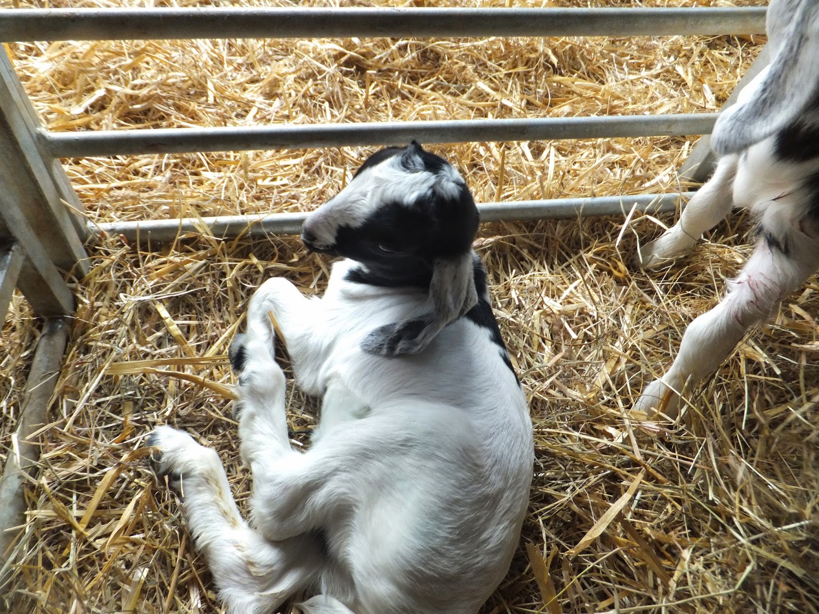 Bure Valley Farm
