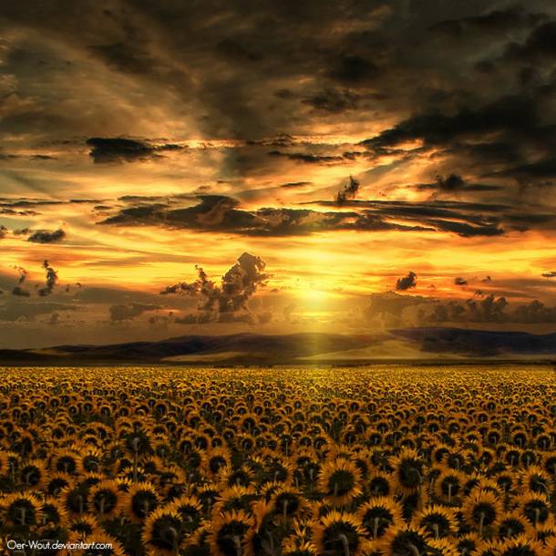 Enter To My World Of Creativity: BEAUTIFUL SCENARIO WALLPAPER