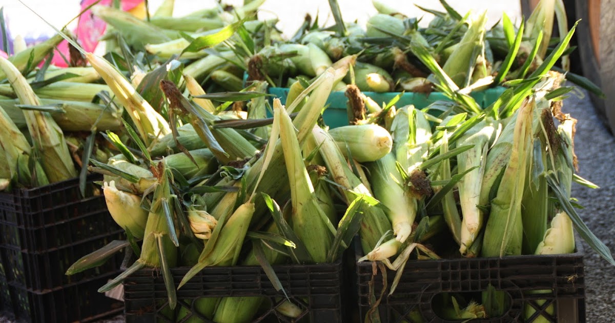 Real Life: Corn day ...