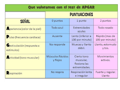 LENGUAJE Y LITERATURA: La prueba de Apgar