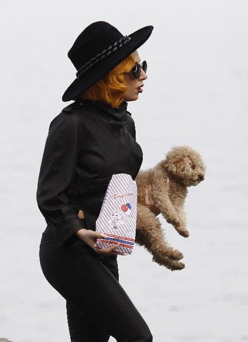 Disney Channel: Lady Gaga: Paseo en Bucarest con Fozzi