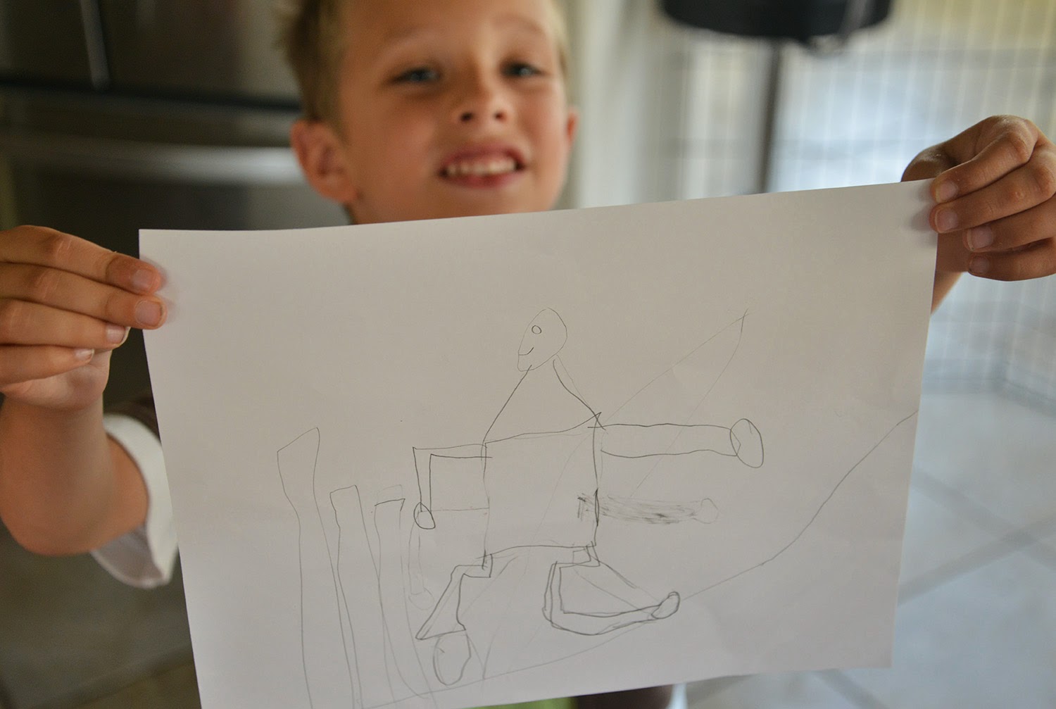 A school of fish: Proportion Drawings