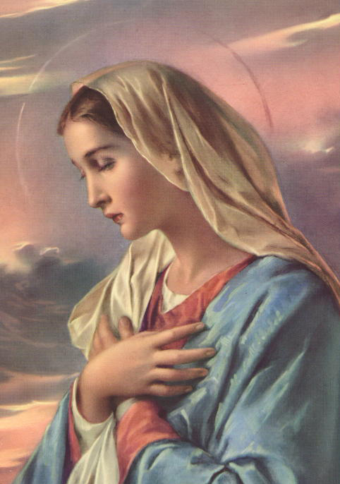 Book Reviews and More: Hail Mary - Say a prayer for me please.