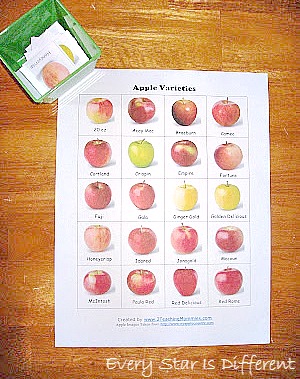 Apple Unit with Free Printables - Every Star Is Different
