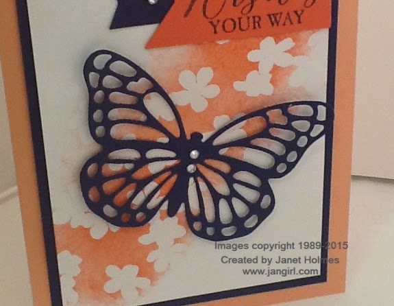 Stampin ' Up Butterfly Basics and Butterflies Thinlits Irresistibly Yours card | Jan Girl