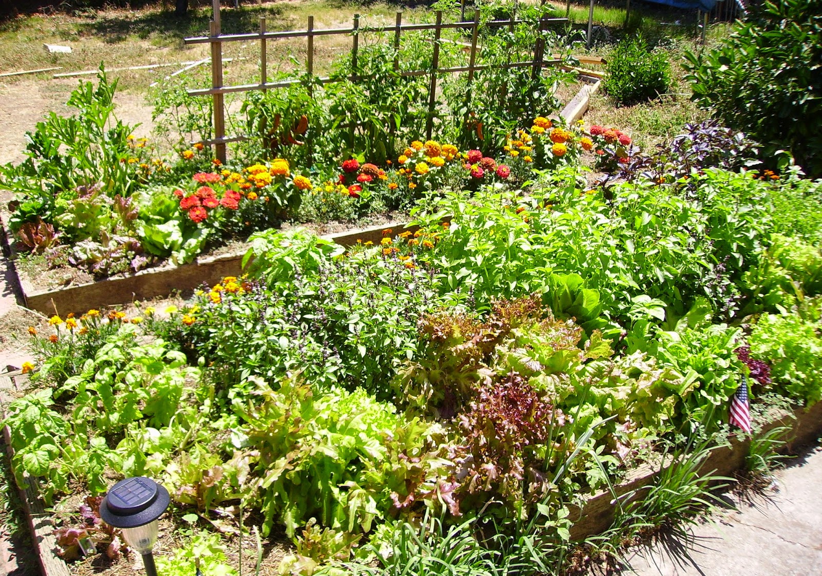Simple Tips For Growing An Organic Garden - Gio Gardening