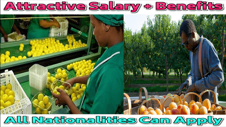 Farms Jobs At Canada Fruit Packer