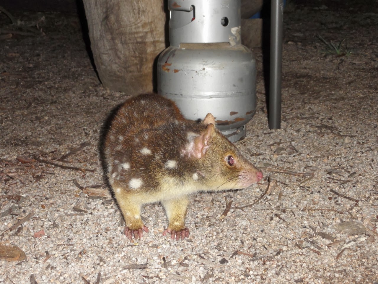 A&K Travels: Kanangra-Boyd National Park