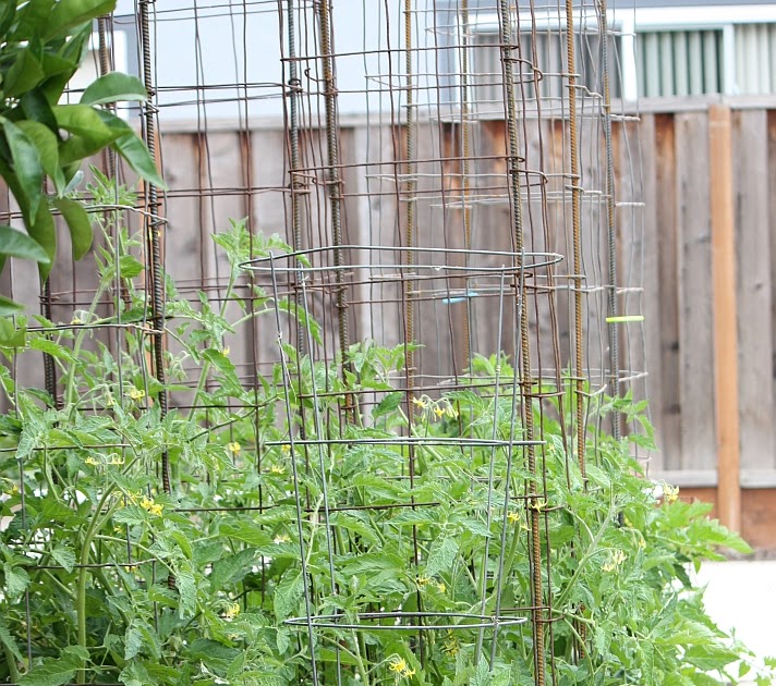 Frugal Frolic: DIY: Frugal Tomato Cages