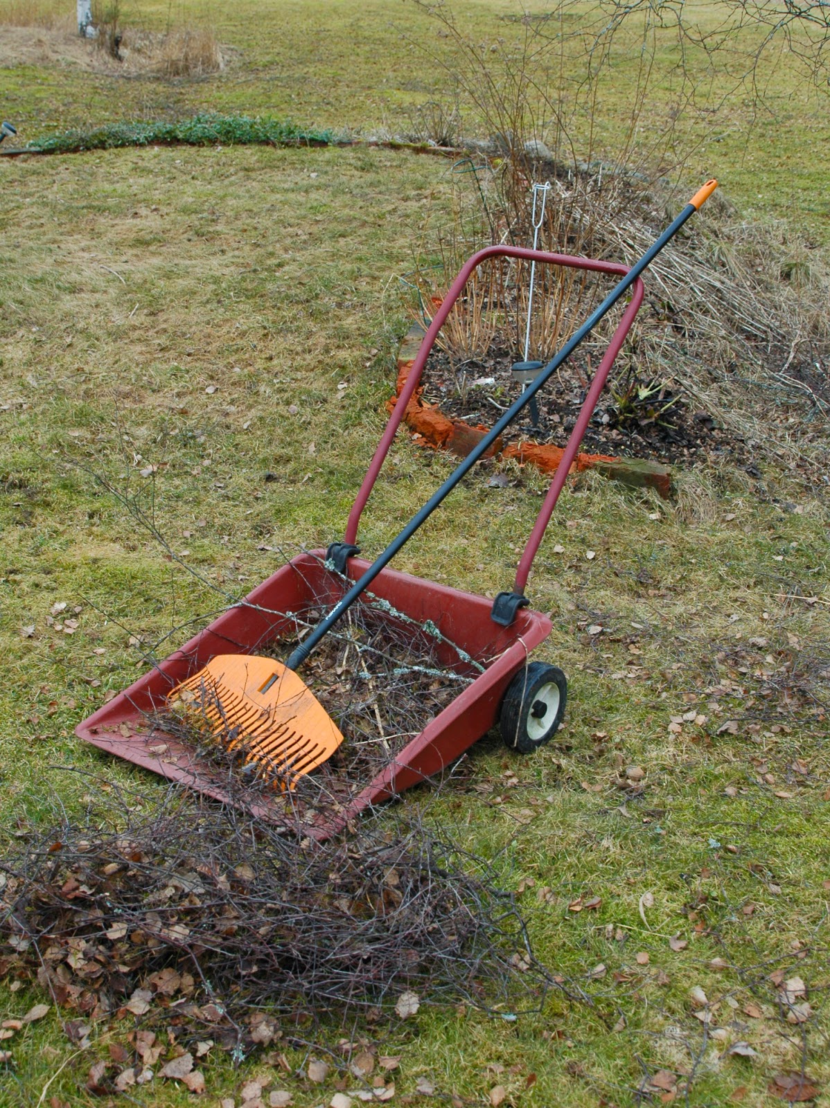 Kotipuutarhuri : Risuja, risuja, risuja