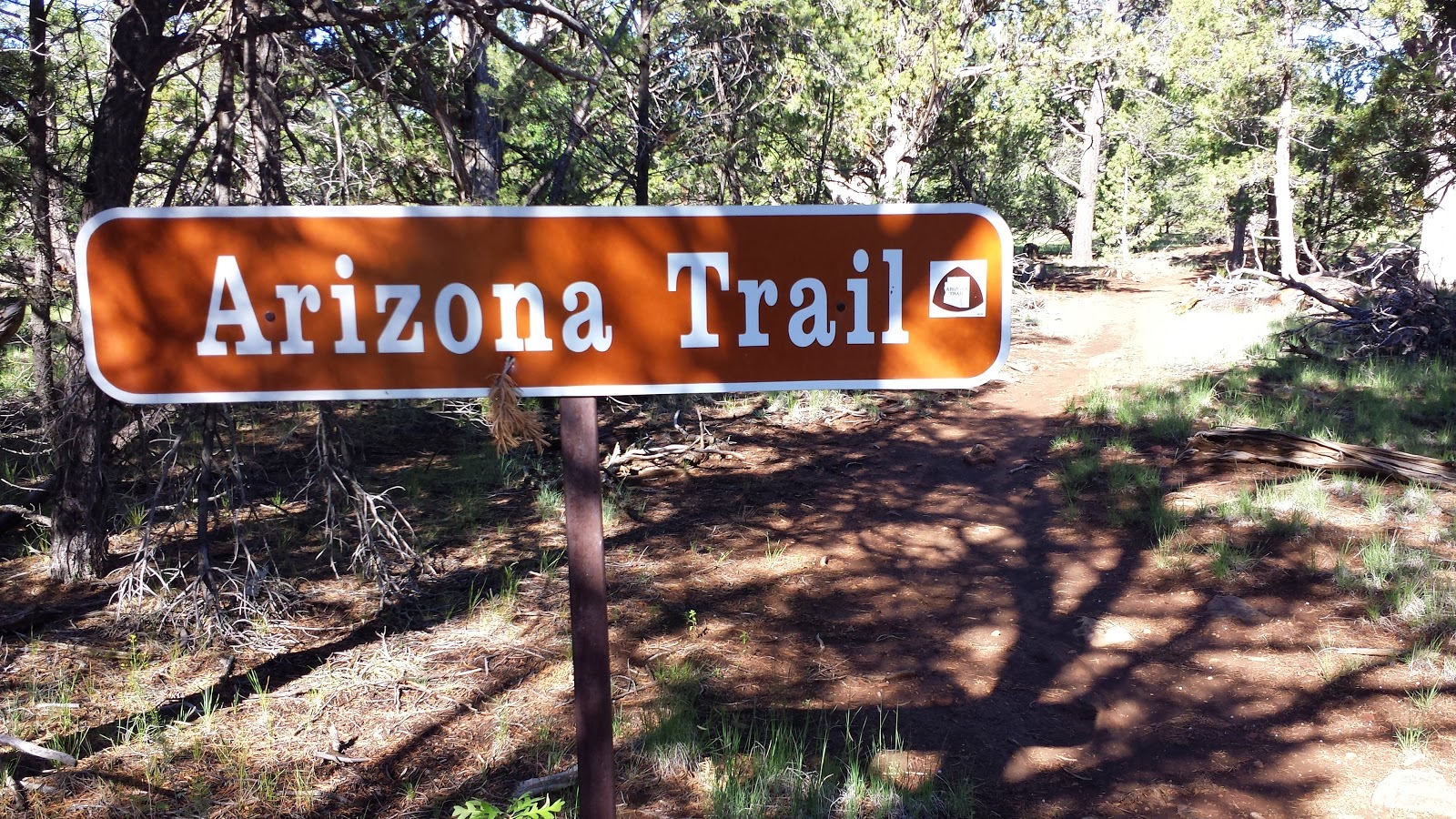 Flagstaff Trail Running: Arizona Trail "Gription"