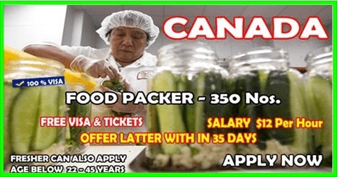 Vacancy For Food Packer in Canada | Apply Now