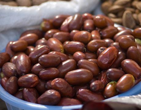 Get Much Information: Fruits - 1