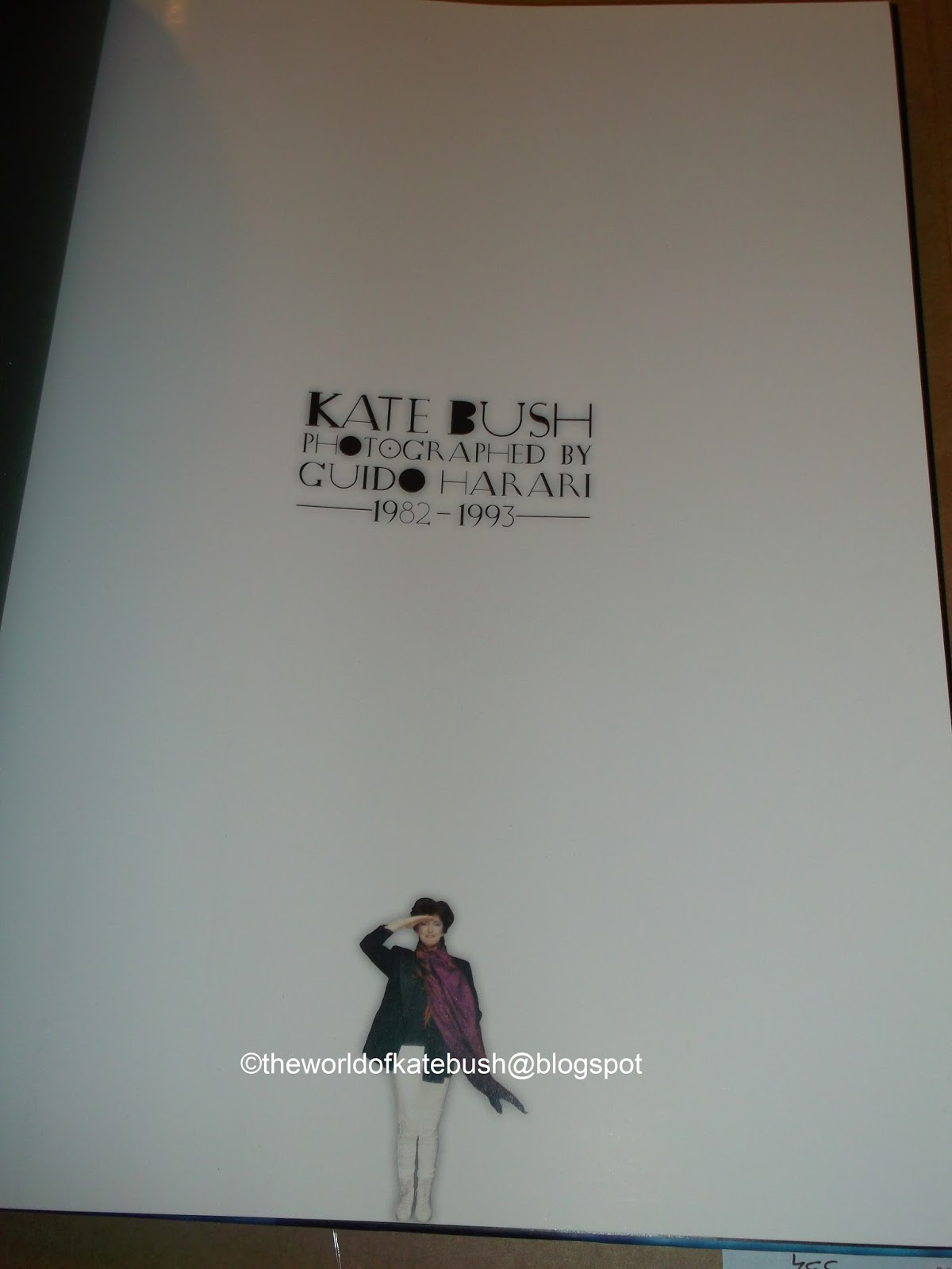 THE WORLD OF KATE BUSH: The Kate Inside: Collector Edition Book by ...