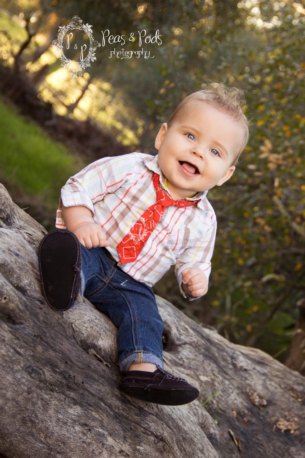 Peas and Pods Photography: Some Highlights